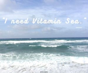 Funny Travel Quotes that are so Relatable - RVing Is Being