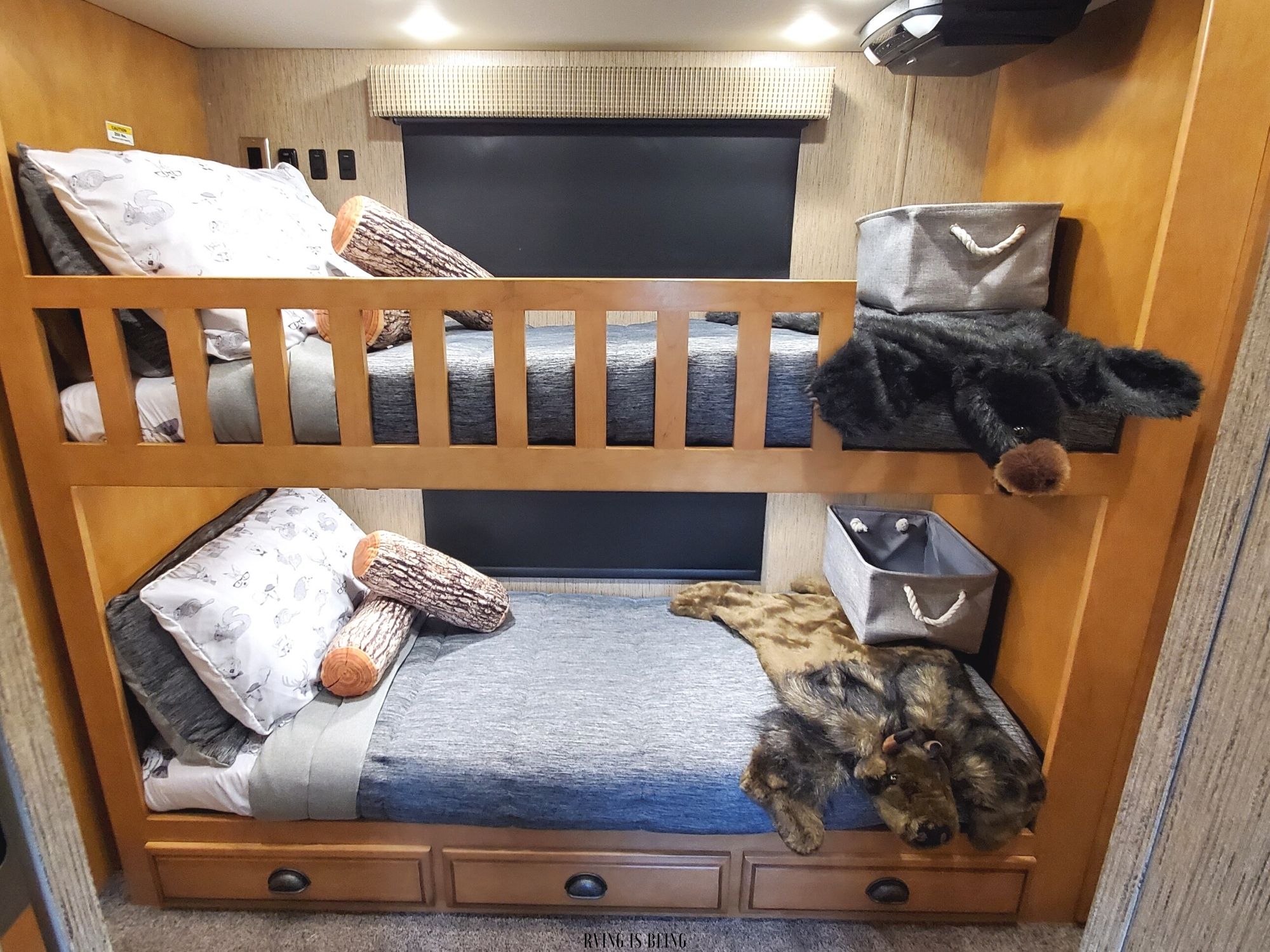 Kids Woodland Wilderness RV Bunks - RVing Is Being