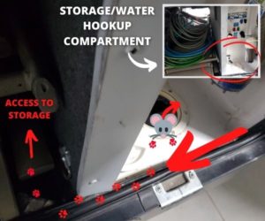 How to Prevent & Get Rid of Mice in Your RV - RVing Is Being